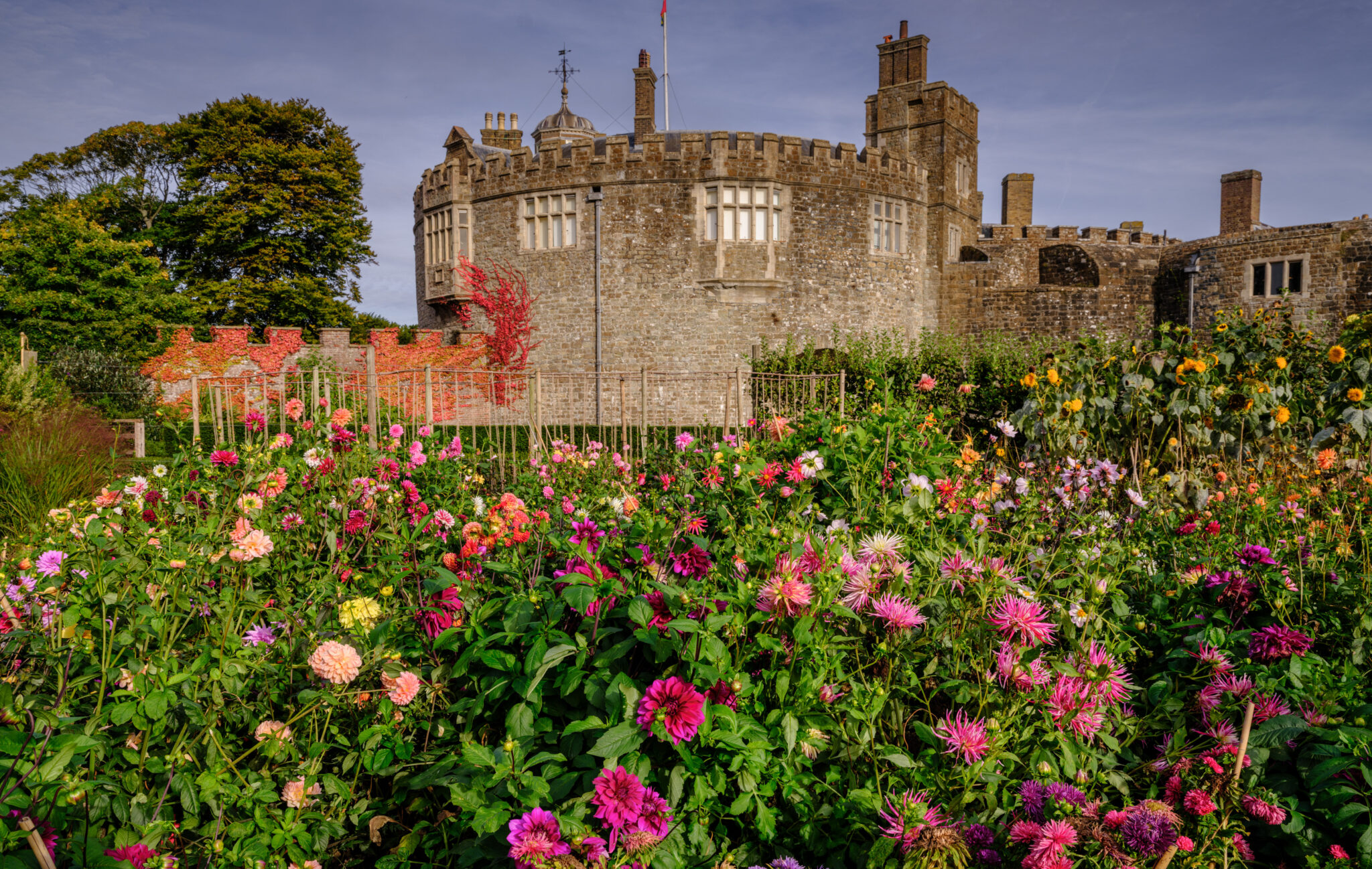 Placement Gardens Announced - Historic and Botanic Garden Training ...